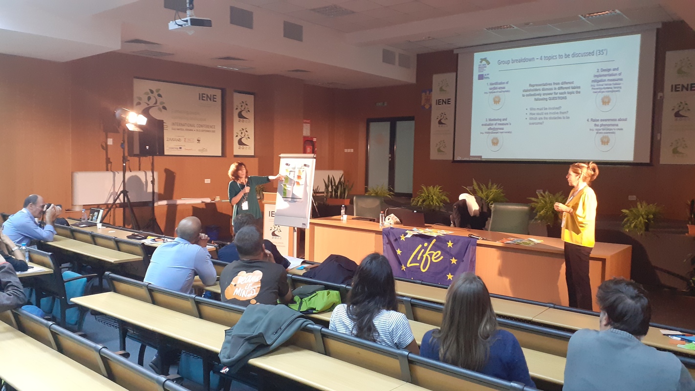 Il progetto LIFE SAFE-CROSSING alla Conferenza Internazionale IENE 2022 ...